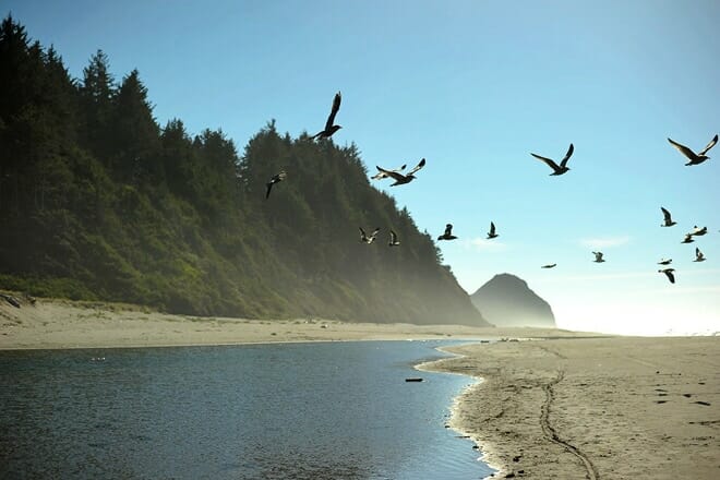 Las 13 mejores playas de Oregón: ¡las mejores playas para visitar! | El ...