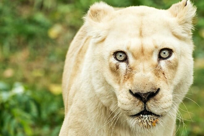 Las 25 mejores cosas para hacer en Ohio: ¡actividades divertidas y ...