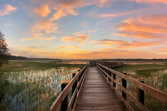 Las 10 mejores cosas para hacer en Spring Hill, FL: ¡las mejores ...