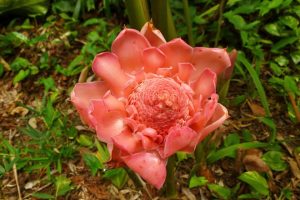 17 mejores cosas para hacer en St Thomas, USVI: ¡las mejores ...