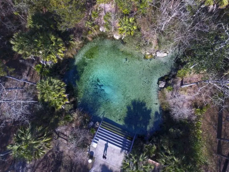La guía definitiva de Florida Springs (mapa + recursos) | El Blog del ...